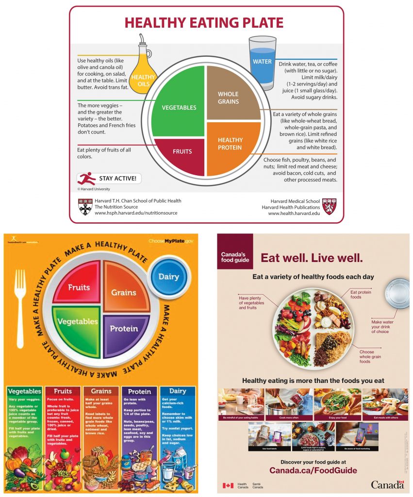 What Should I Eat? Here Three Evidence Based Example Plates.