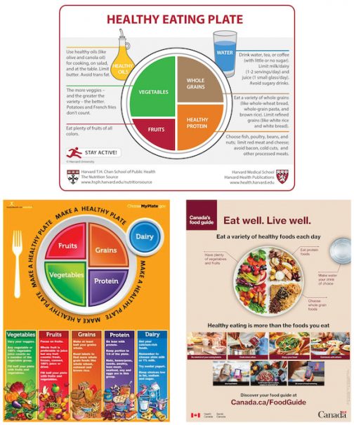 What Should I Eat? Here Three Evidence Based Example Plates.